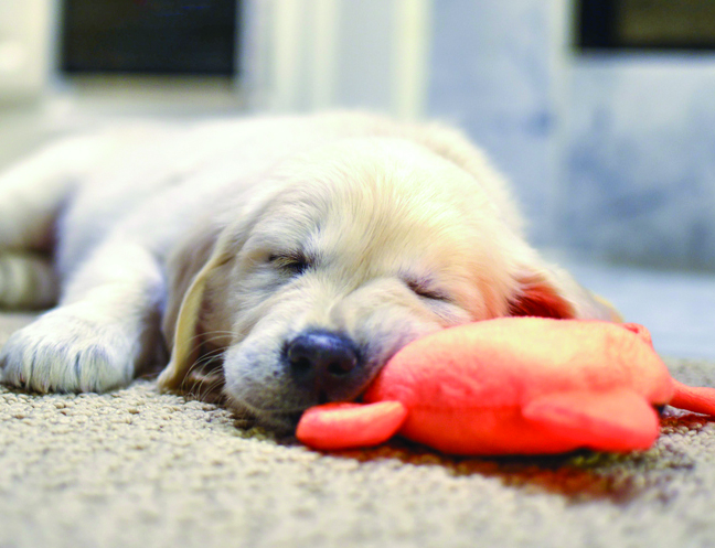 The Truth Will Always Be The Truth. Even If No One Believes It. – The ...