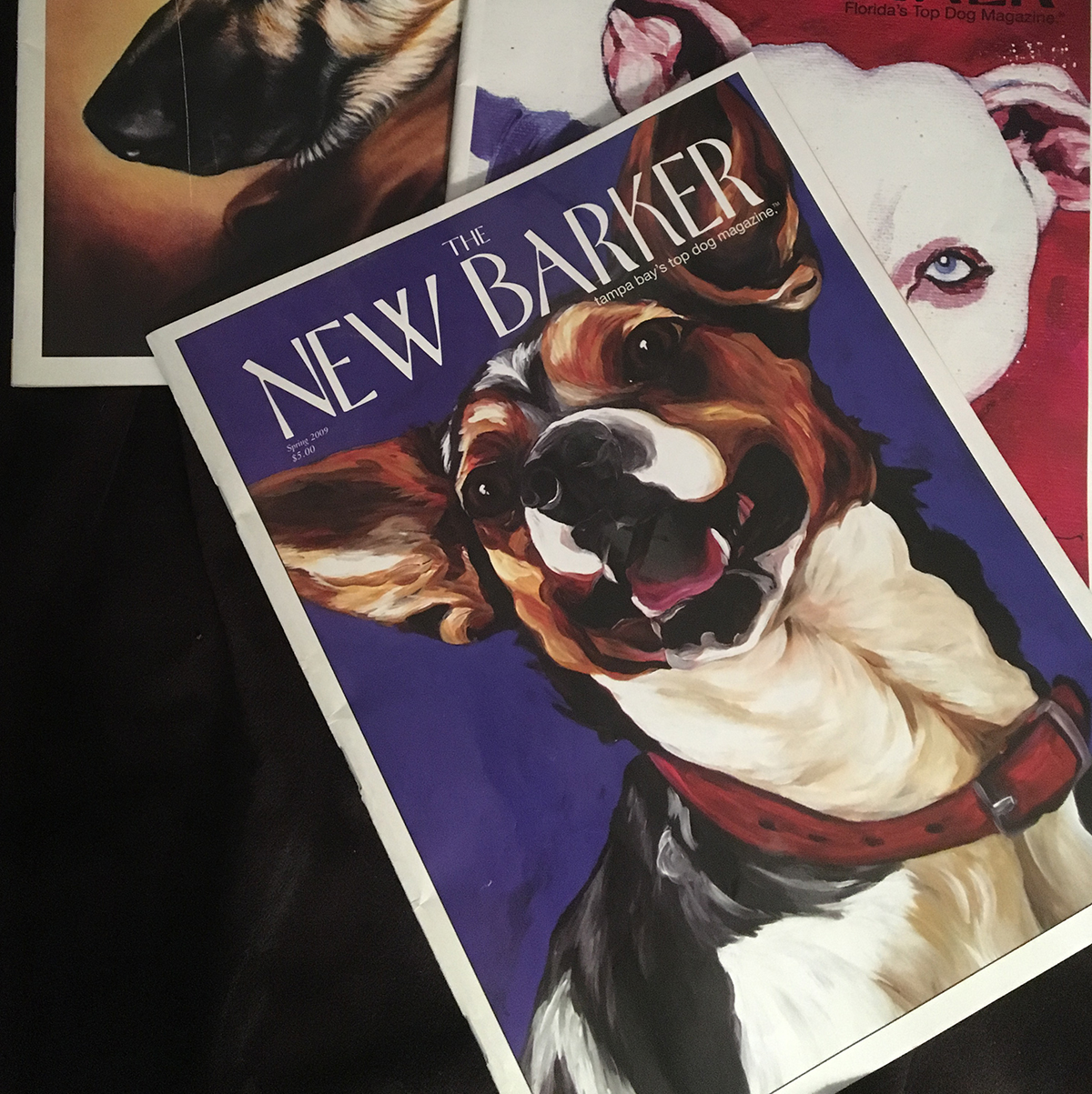 Full Speed Ahead – The Art Of Dog.™