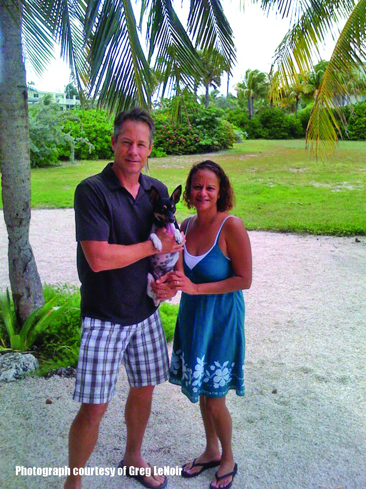 Jake and the Shark – The Art Of Dog.™